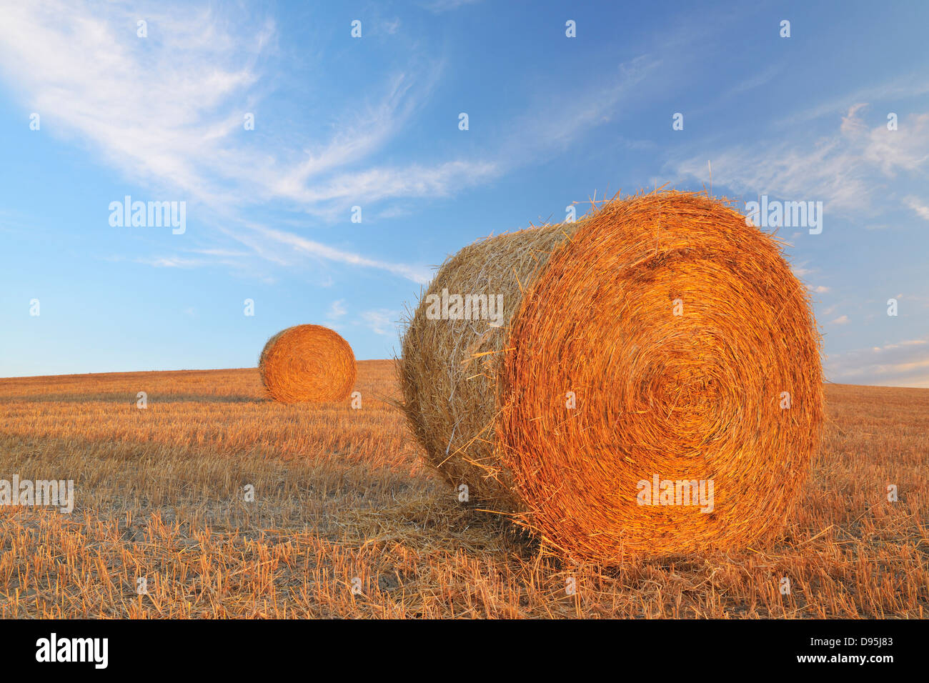 Tuscan hay roll hi-res stock photography and images - Alamy