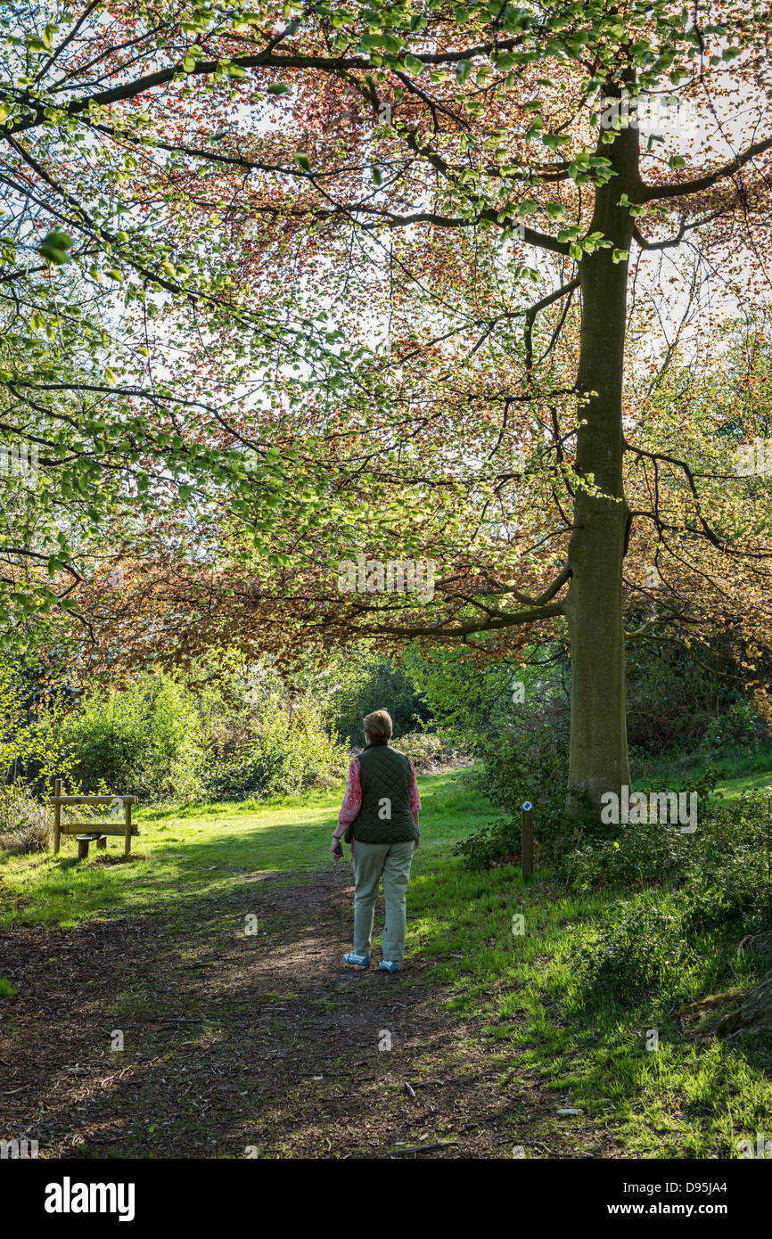 Walking along a marked pathway hi-res stock photography and images - Alamy
