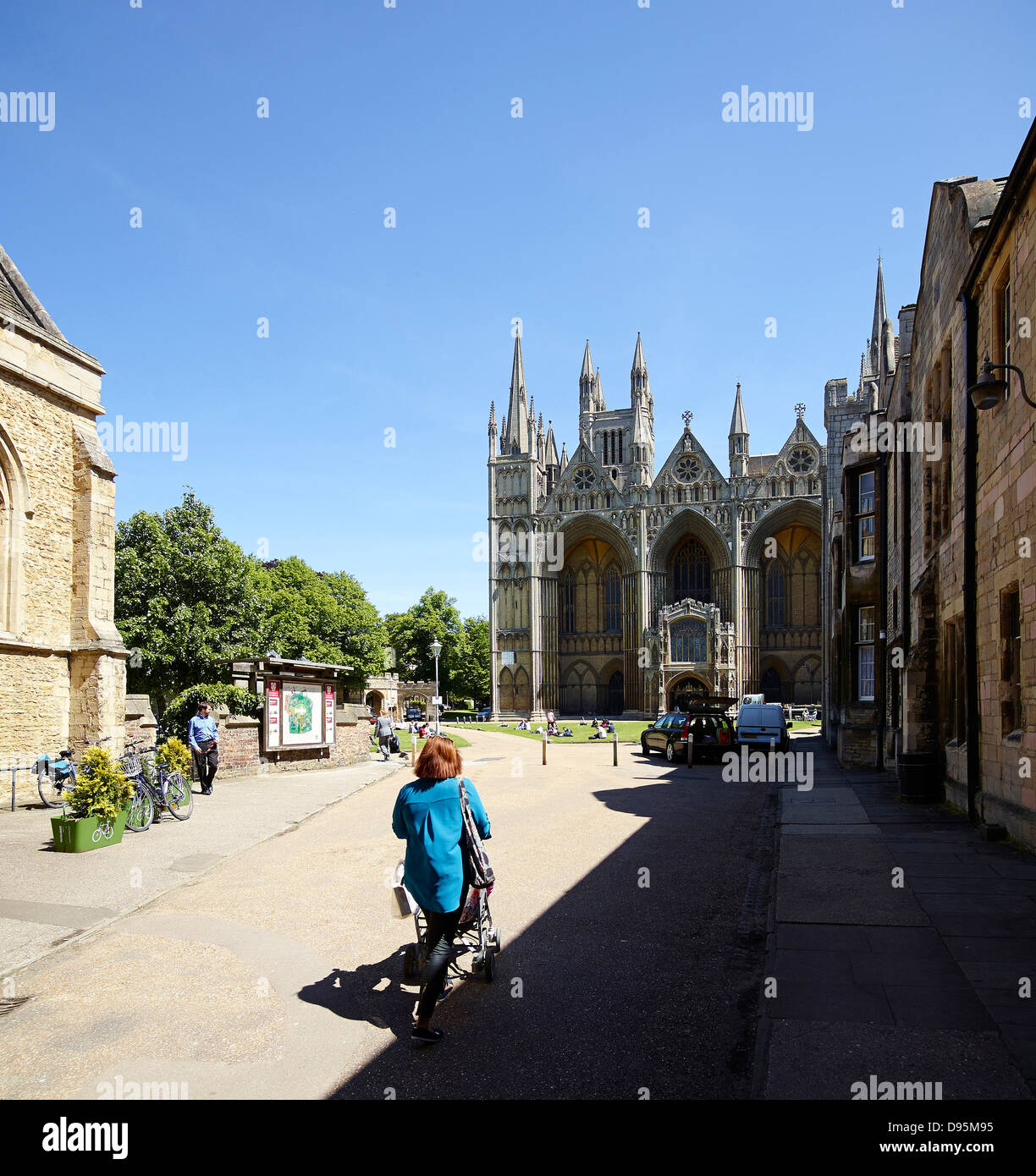 Peterborough Cathedral, Cambridgeshire, Eastern England Stock Photo - Alamy