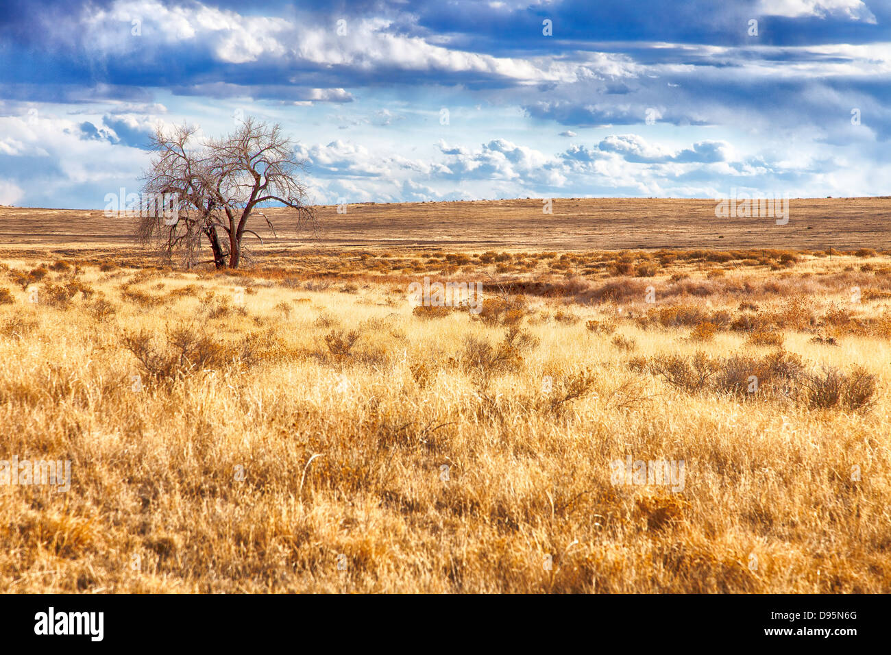 Colorado landscape hi-res stock photography and images - Alamy