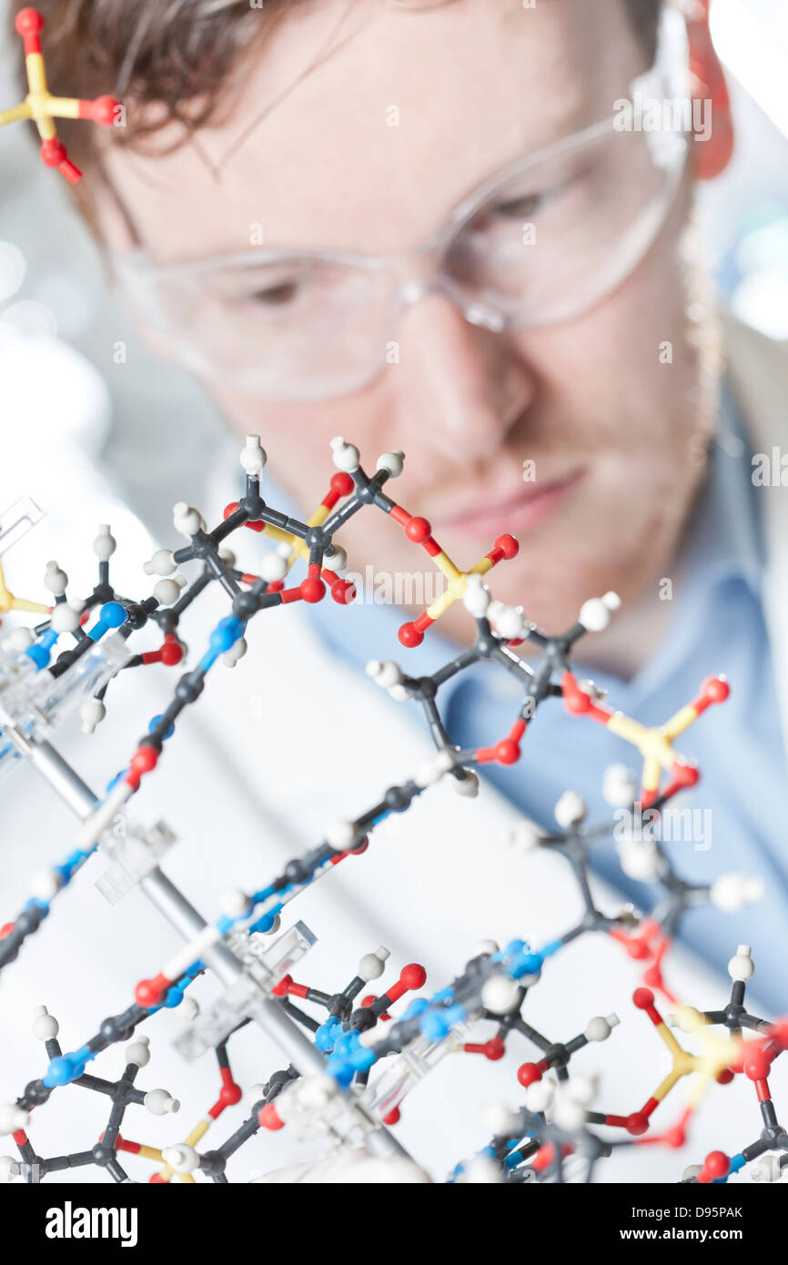 Germany, Young scientist with DNA model Stock Photo - Alamy