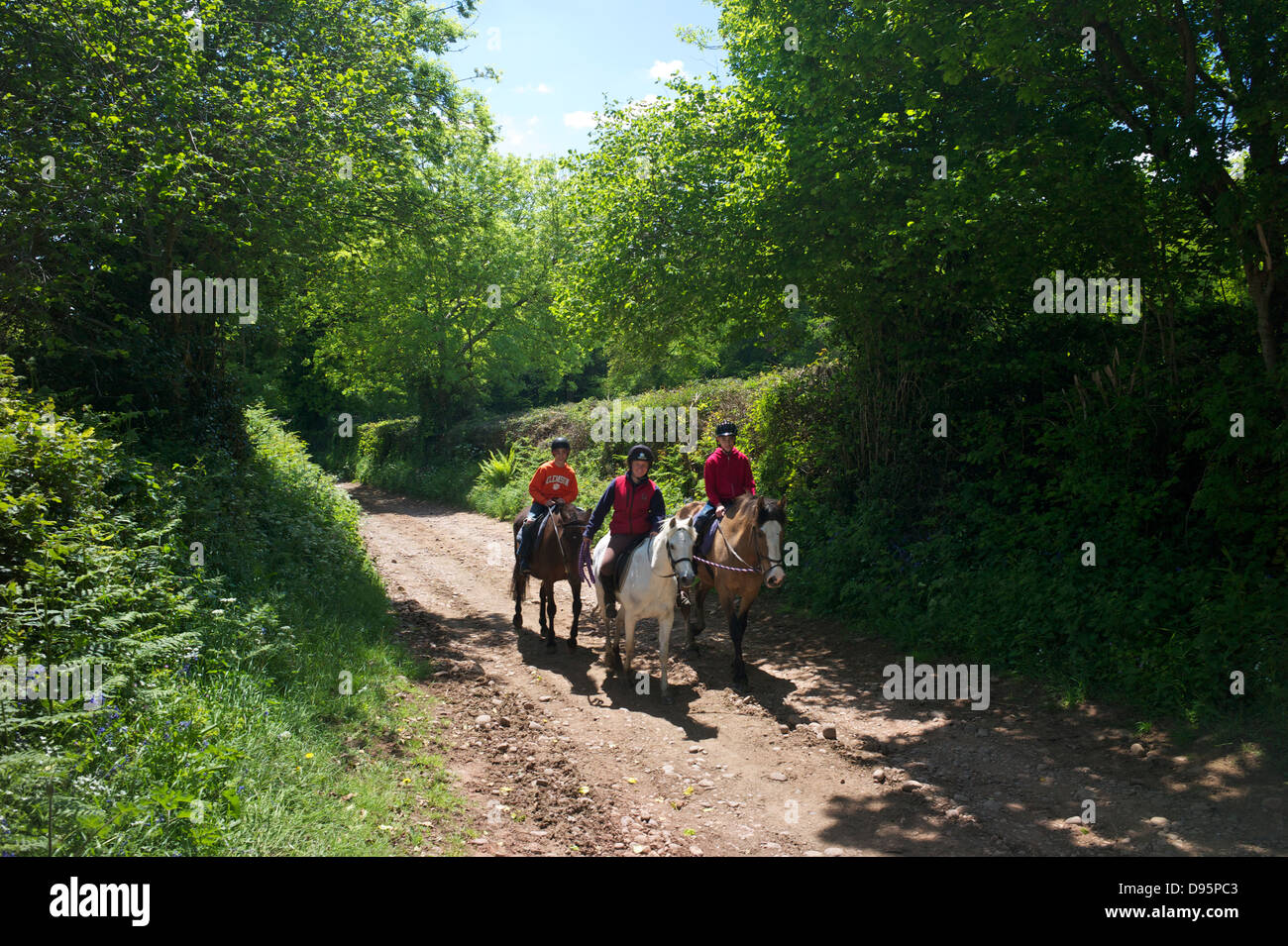 Horse riders country lane hi-res stock photography and images - Alamy