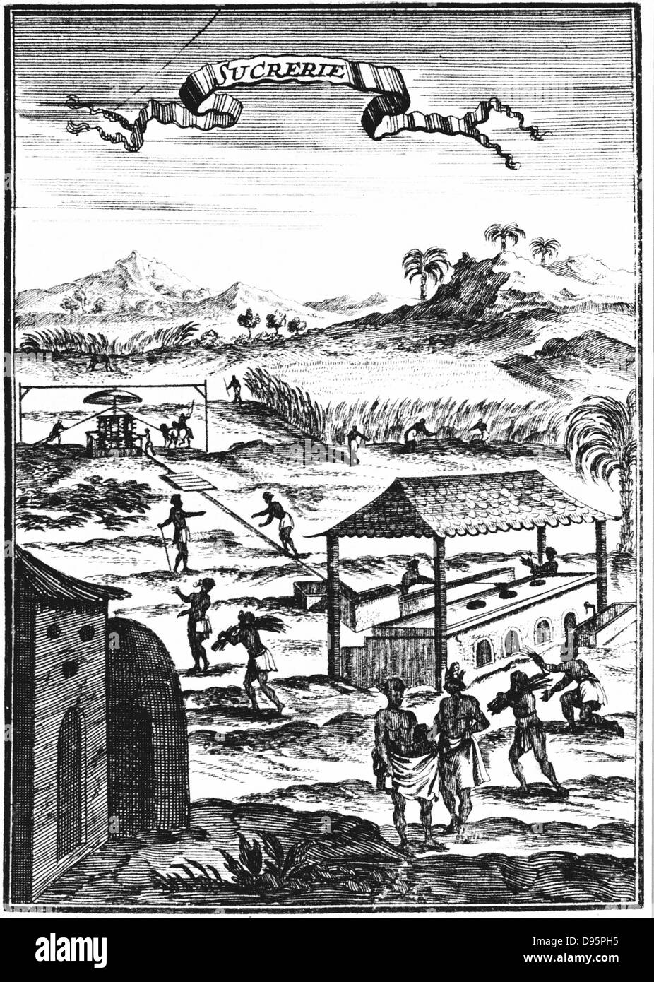 Sugar factory and plantation in the West Indies. Copperplate engraving ...