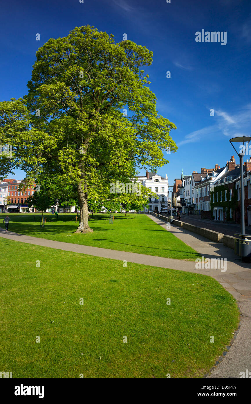 Exeter Cathedral Green Stock Photos & Exeter Cathedral Green Stock ...