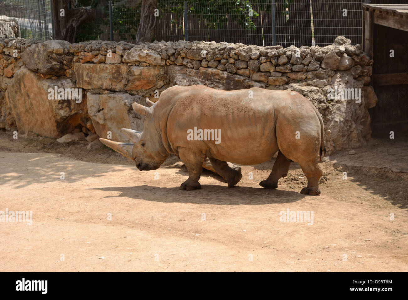 Jerusalem Biblical Zoo Stock Photos & Jerusalem Biblical Zoo Stock ...