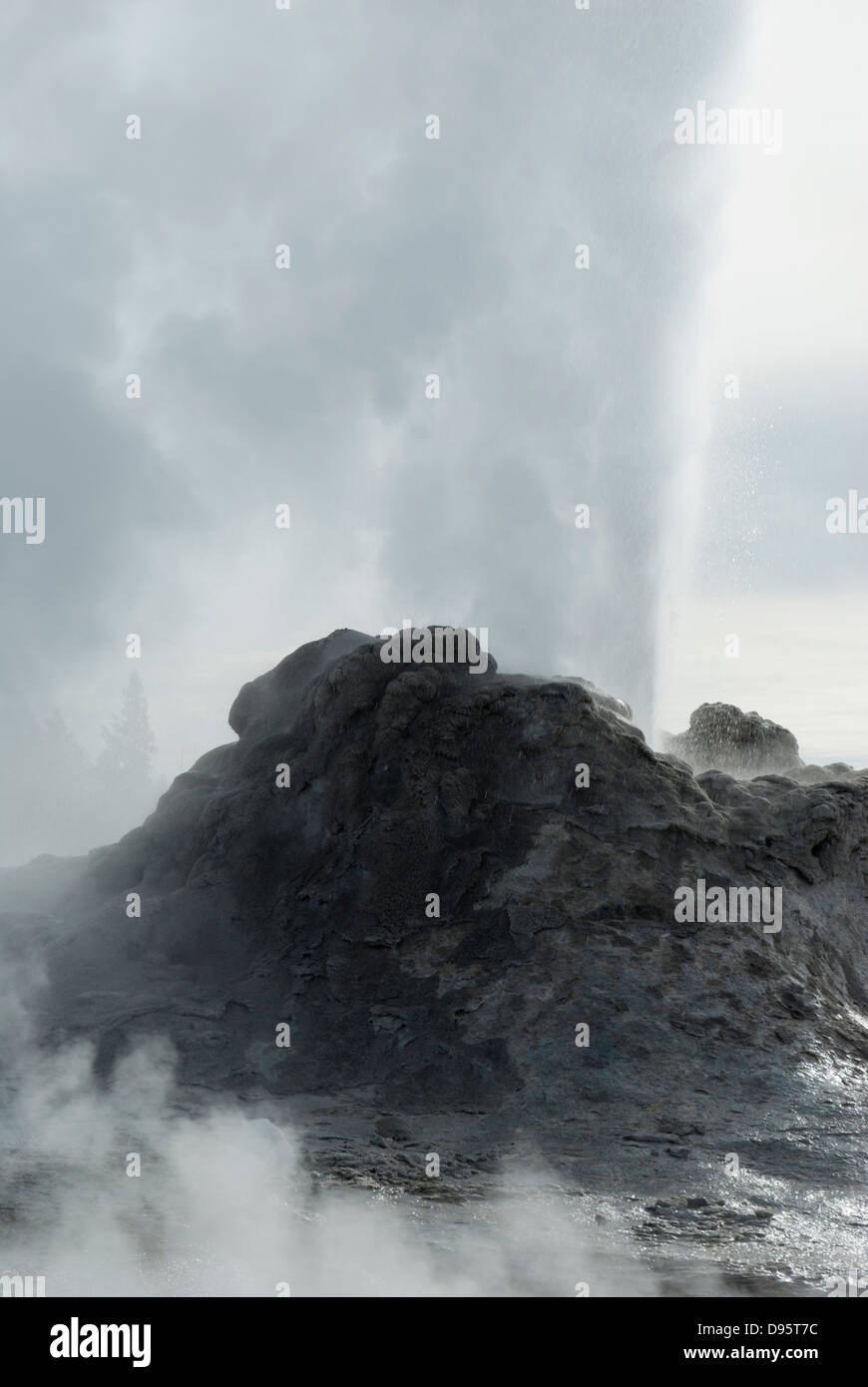 Castle Geyser Erupting, Yellowstone NP, WY Stock Photo - Alamy