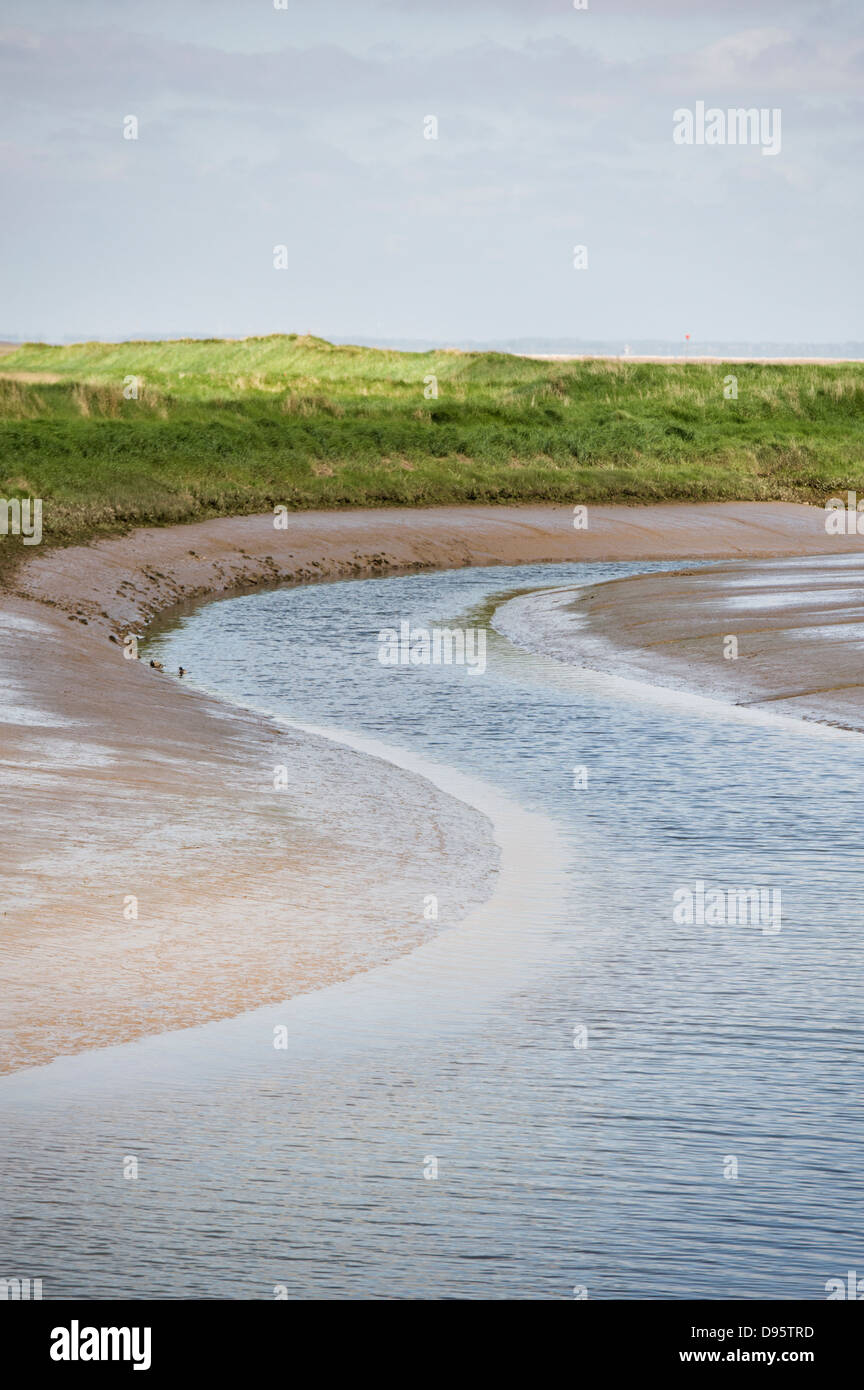 River Bank Mud High Resolution Stock Photography and Images - Alamy