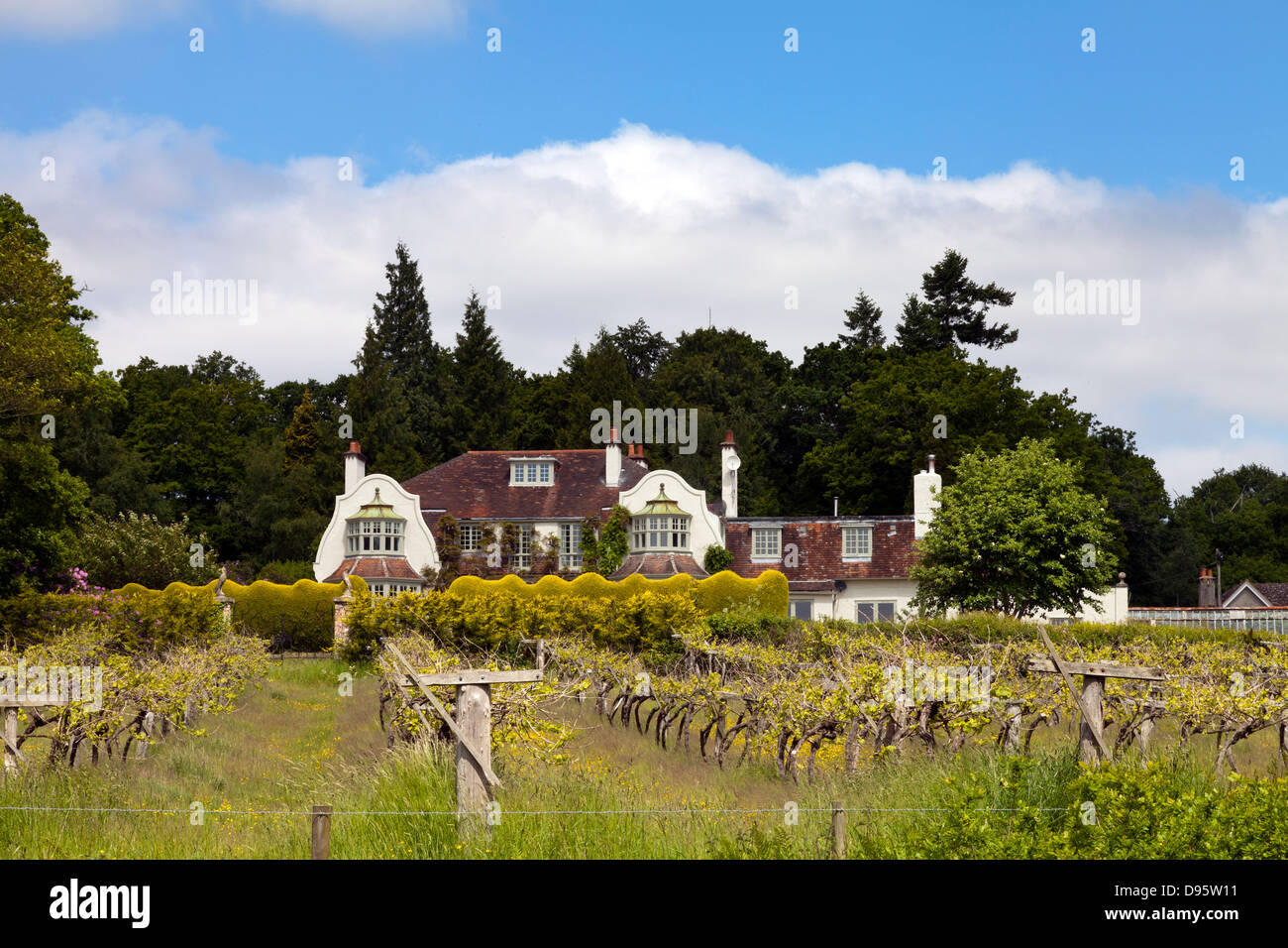Beaulieu Estate VineYard Stock Photo - Alamy
