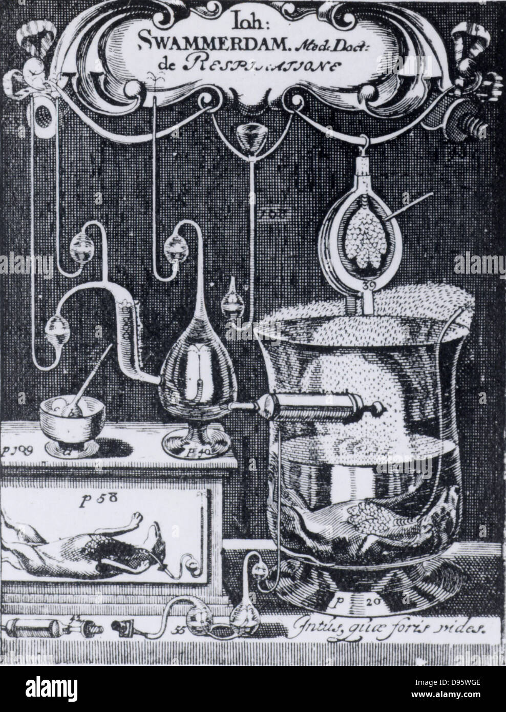 Science medicine physiology vivisection history historical archive ...