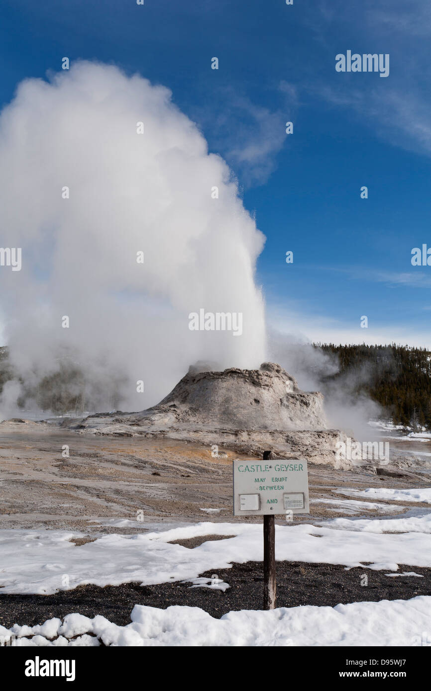 Castle Geyser Erupting, Yellowstone NP, WY Stock Photo - Alamy