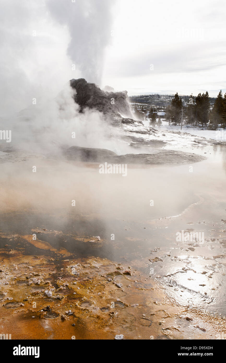 Castle Geyser Erupting, Yellowstone NP, WY Stock Photo - Alamy