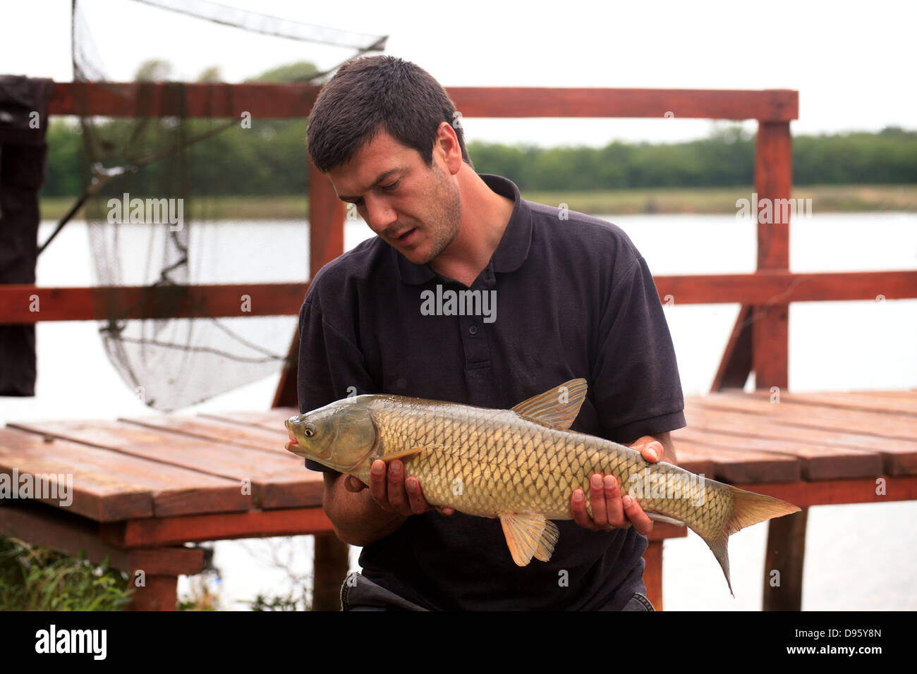 Harvest carp hi-res stock photography and images - Alamy