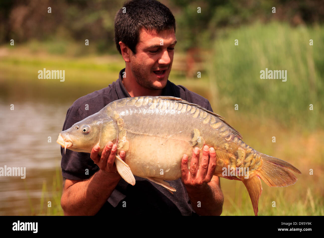 fisherman hold big carp- soft colored lake background Stock Photo - Alamy