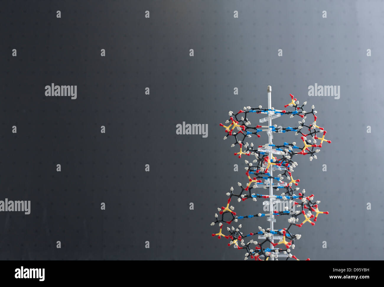 Structure of dna model hi-res stock photography and images - Alamy