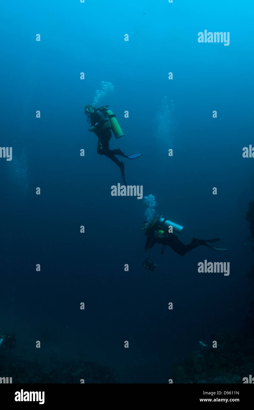 Divers head for the surface, Lembeh Straits, North Sulawesi, Indonesia ...