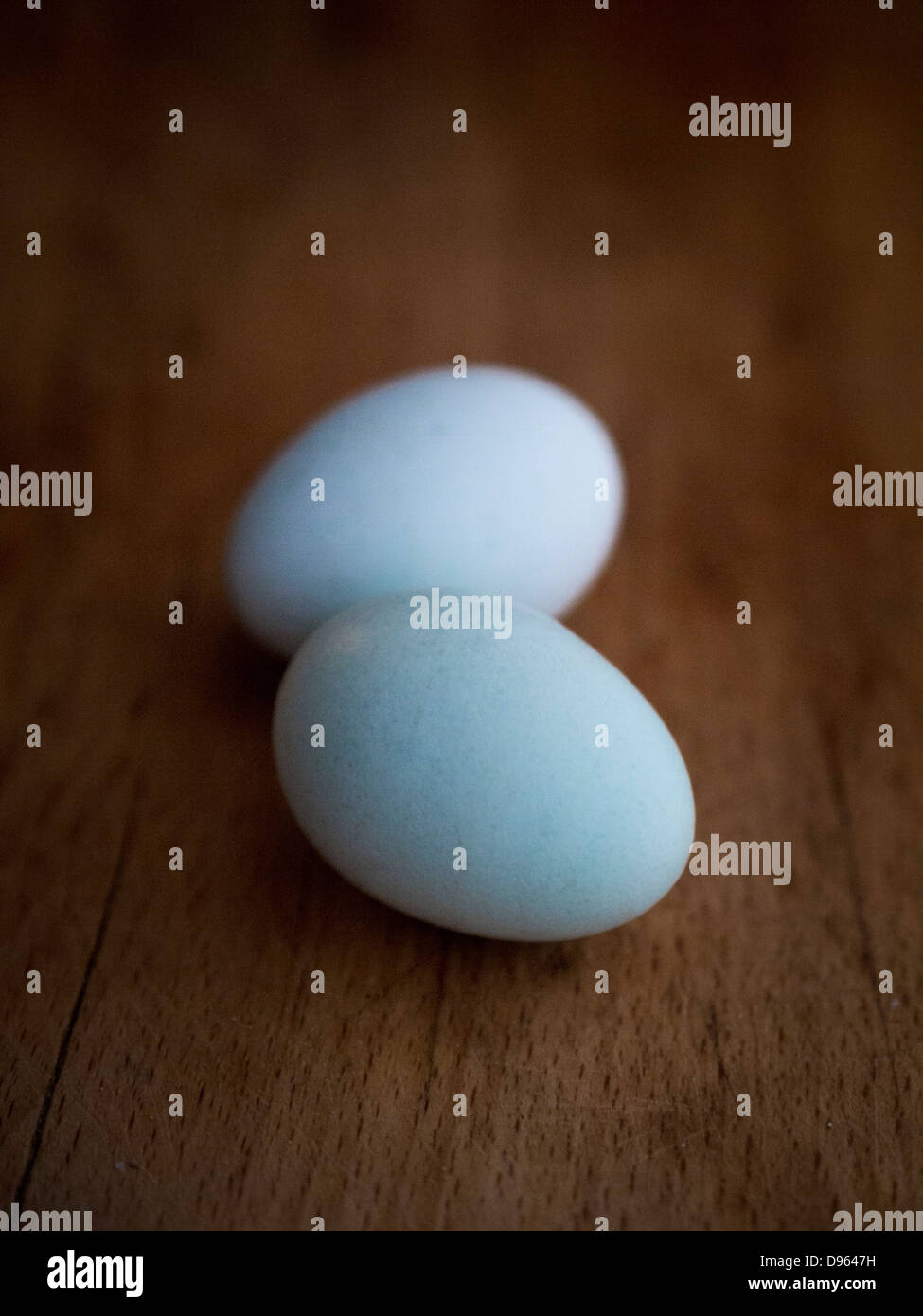 Two naturally blue hens' eggs on wooden background Stock Photo - Alamy