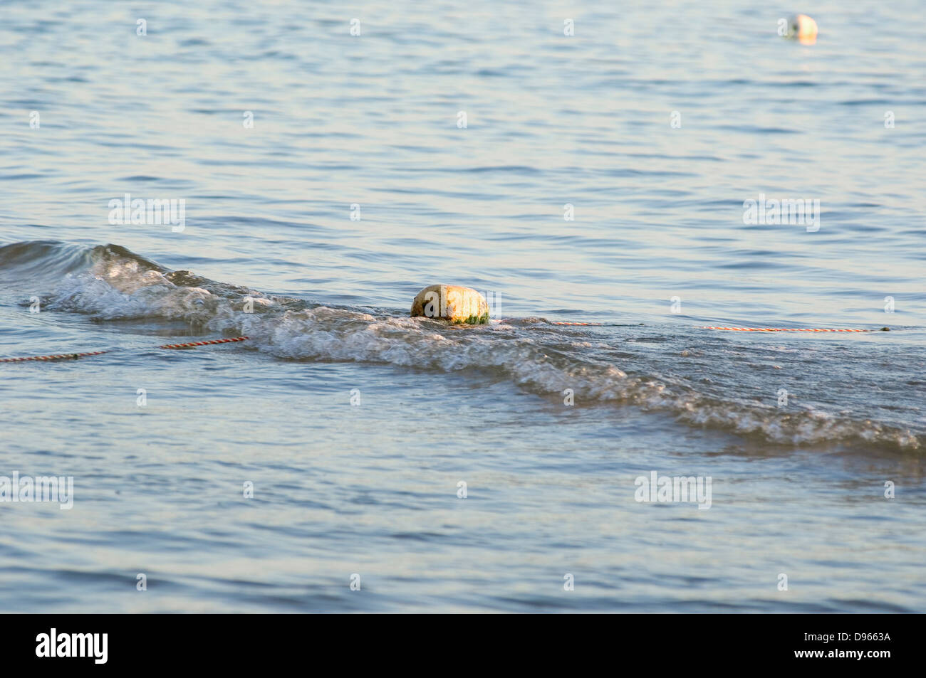 Bouy floating on the sea. Vacation concept Stock Photo - Alamy