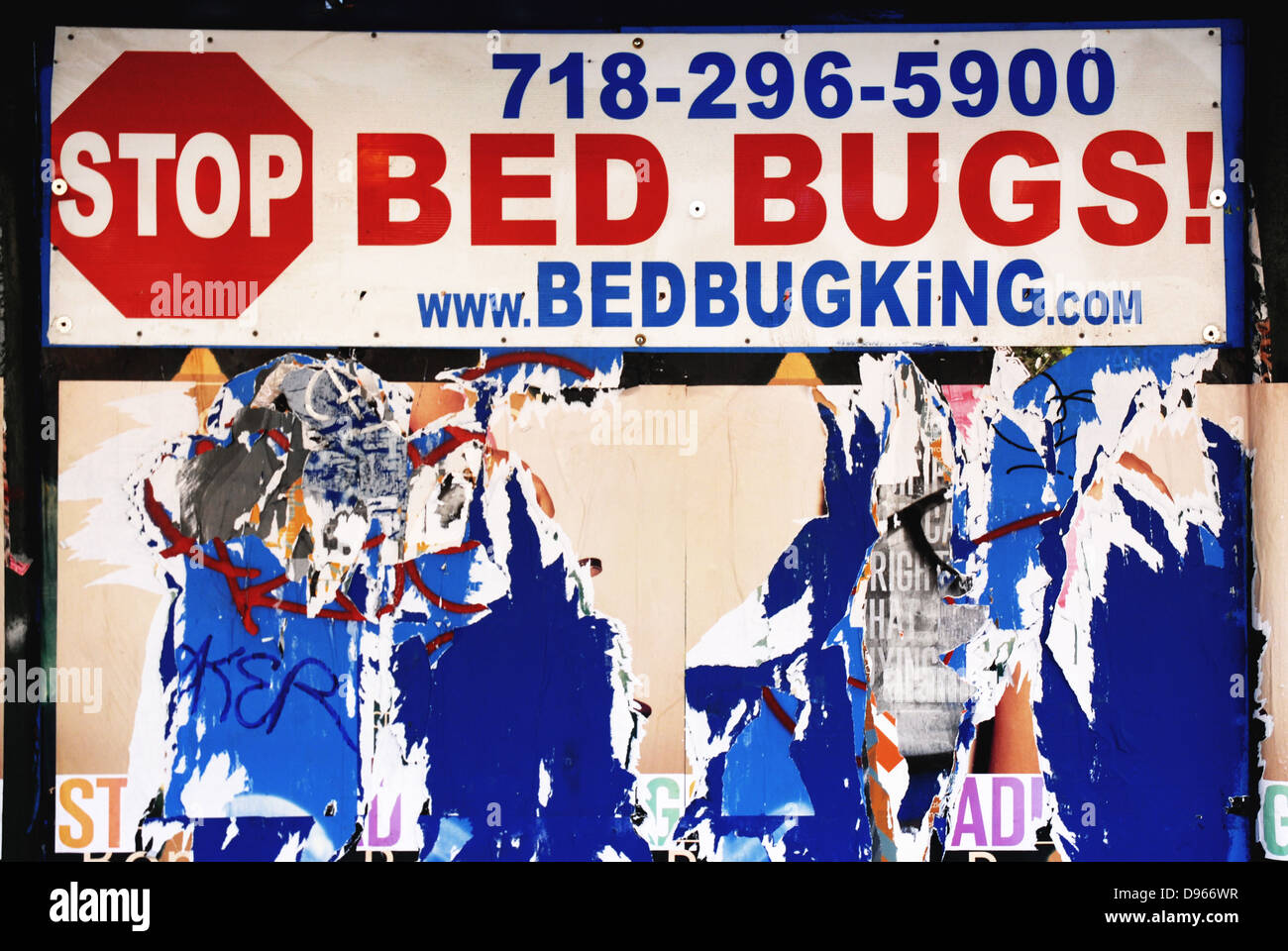 Bed Bug poster Stock Photo - Alamy