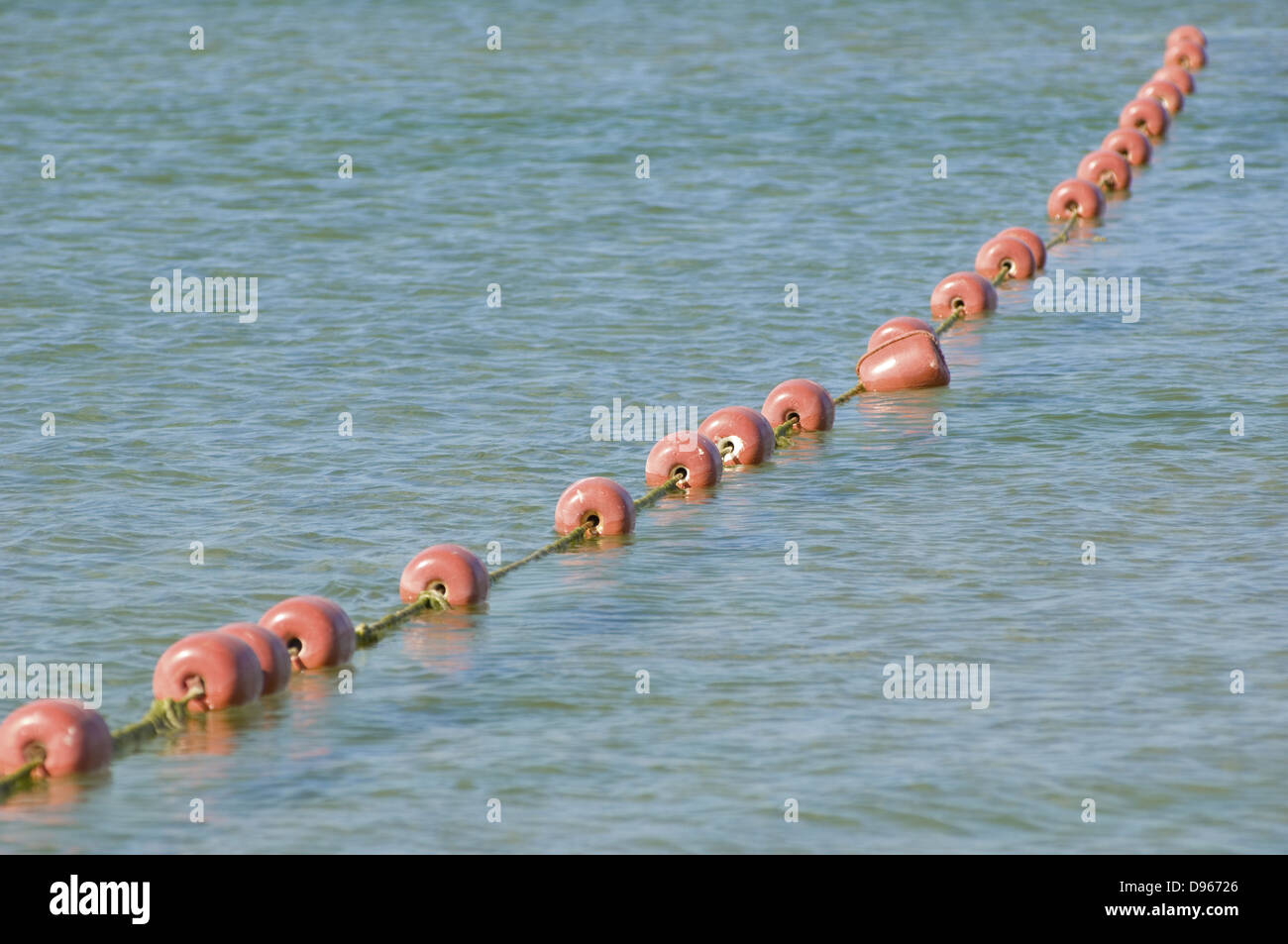 Row of bouys floating on the sea. Vacation concept Stock Photo - Alamy