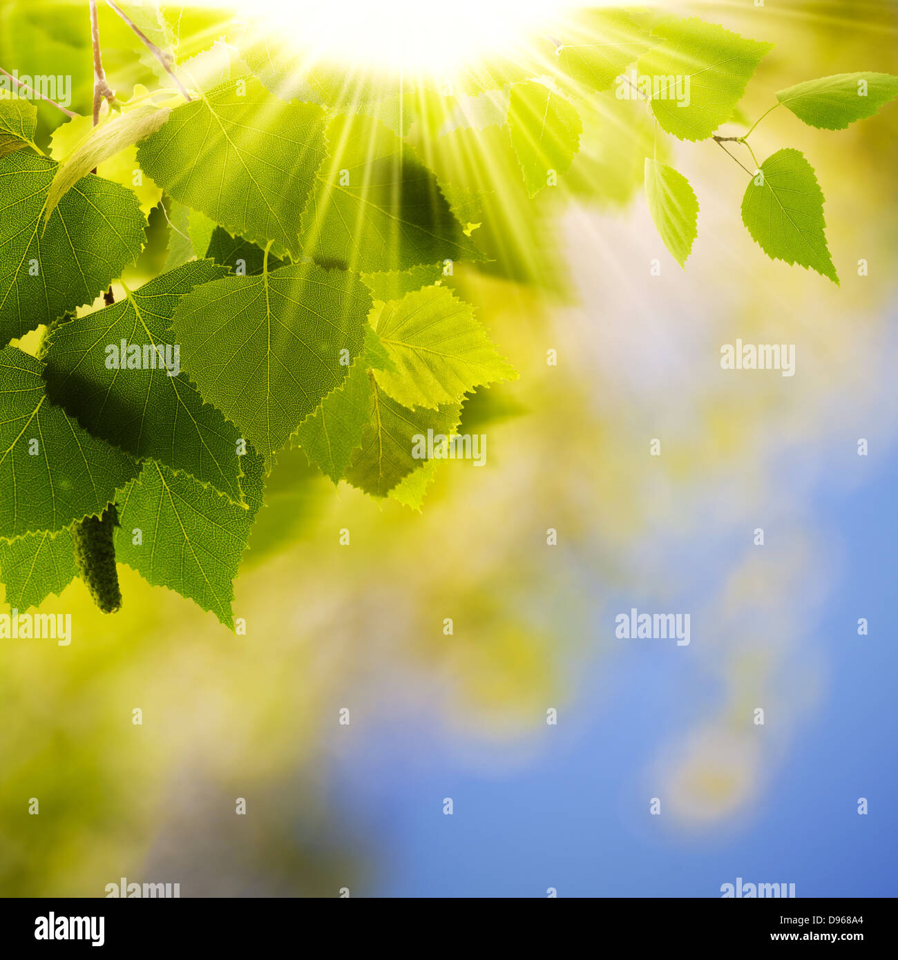 Green world, abstract environmental backgrounds for your design Stock ...