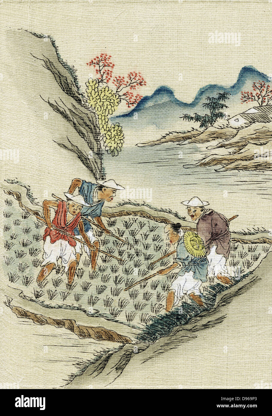Ancient Chinese Rice Farming