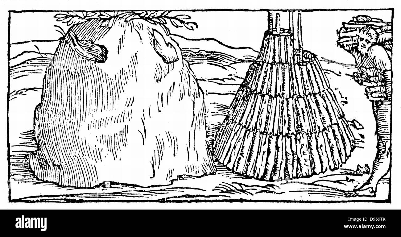 Charcoal burning: Building pyramid of wood (right) to be covered with ...