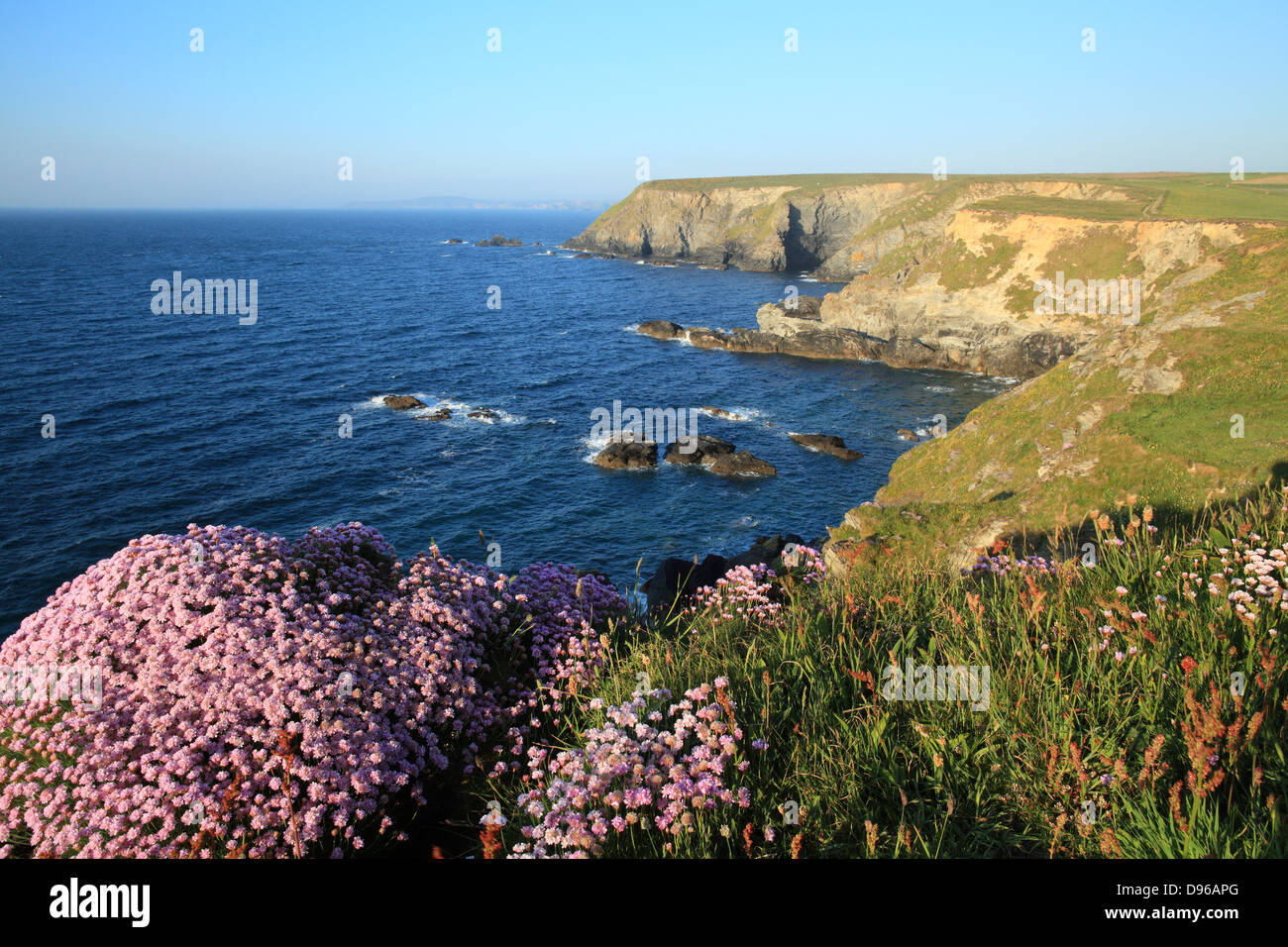 View of Mutton Cove from the coast path near Godrevy, North Cornwall ...