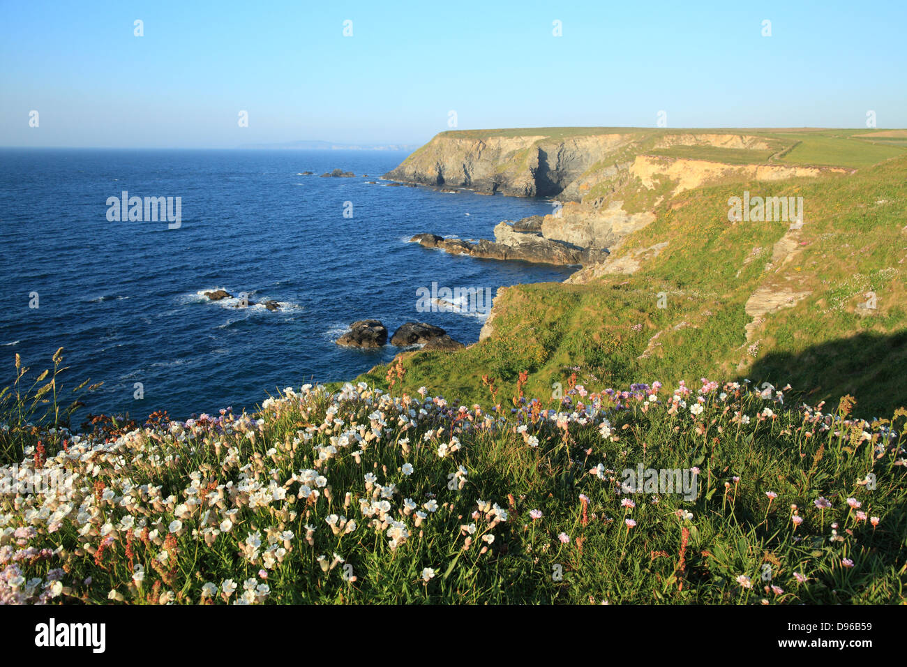 View of Mutton Cove from the coast path near Godrevy, North Cornwall ...