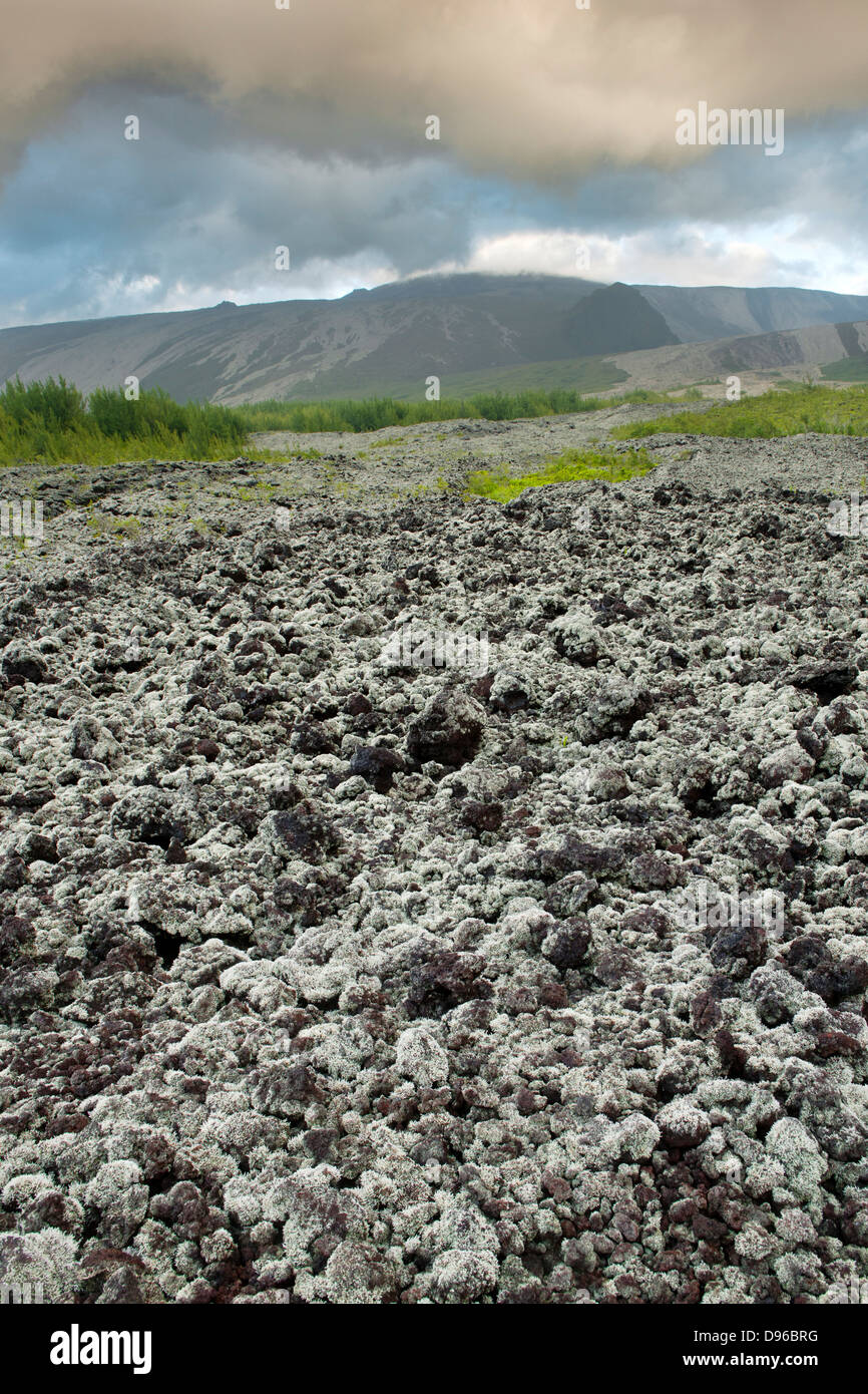 Fournaise volcano hi-res stock photography and images - Alamy