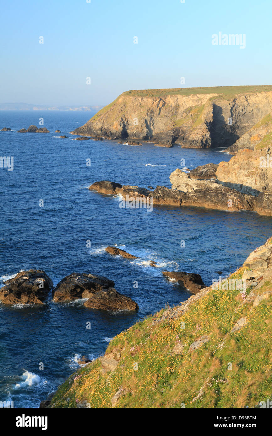 View of Mutton Cove from the coast path near Godrevy, North Cornwall ...