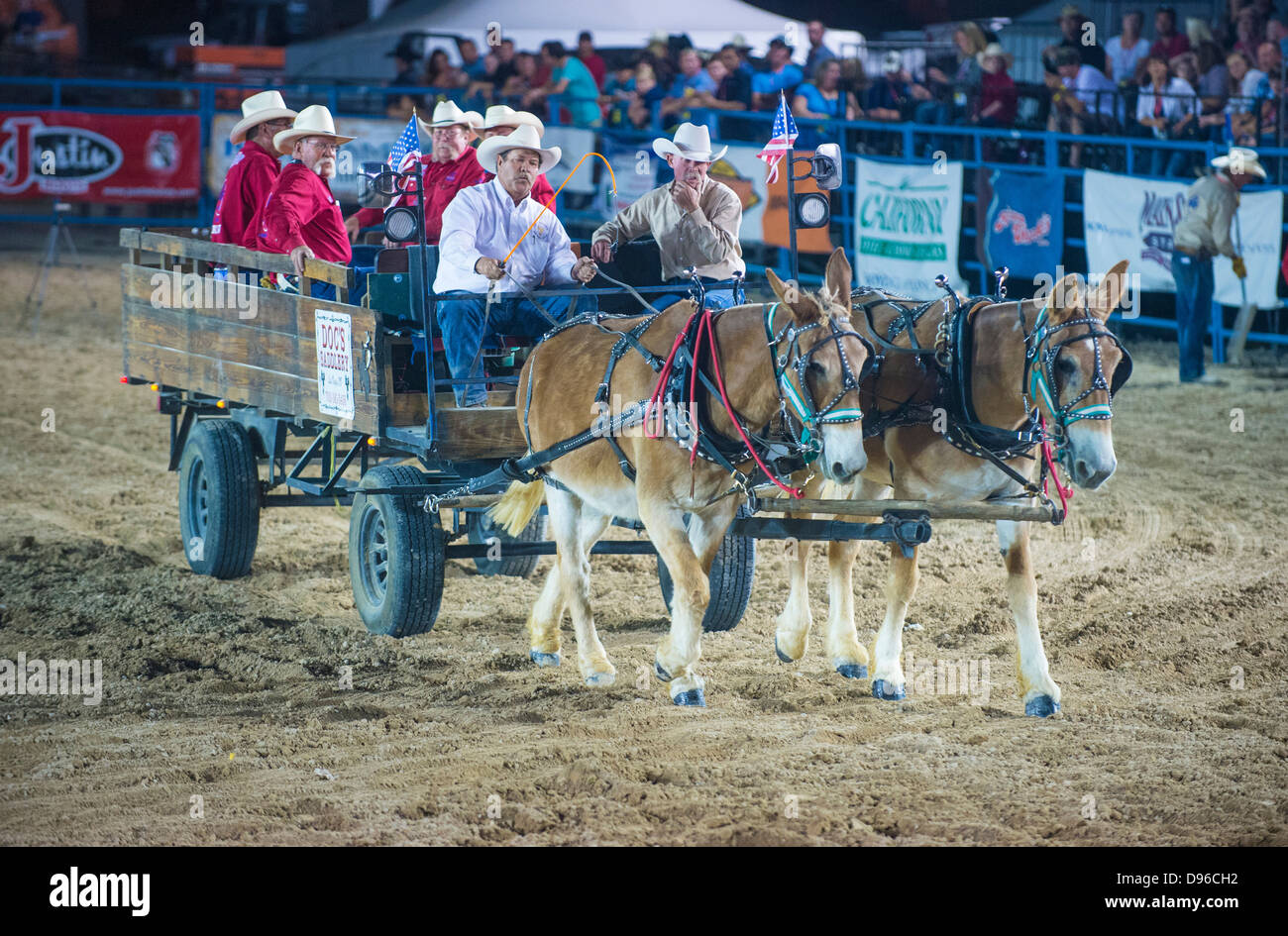 Cowboys on a wagon pulled by mules at the opening ceremony of the ...