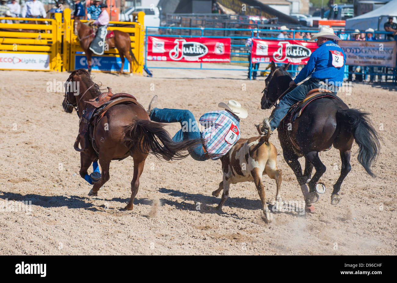 Calf roping texas hi-res stock photography and images - Alamy