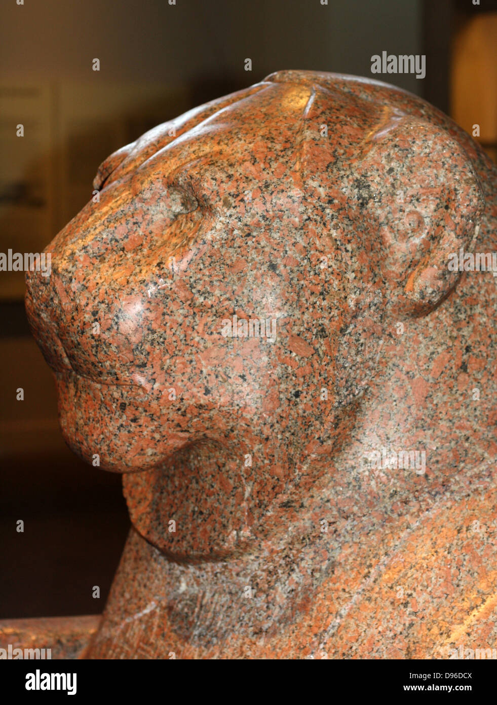 Egyptian lion hi-res stock photography and images - Alamy