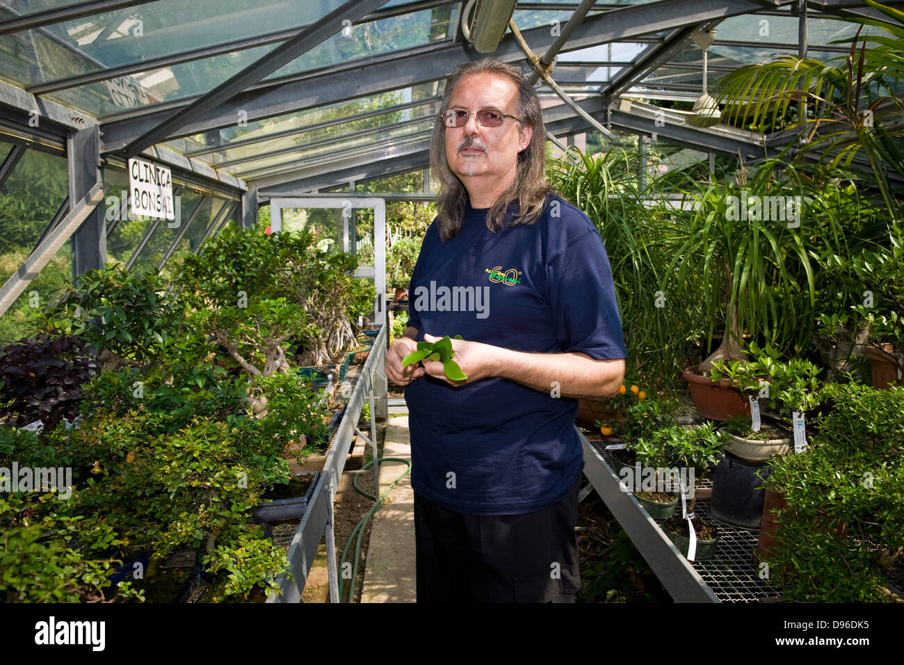 Italy, Milan, Alberto Bergamini bonsai nurseryman Stock Photo - Alamy