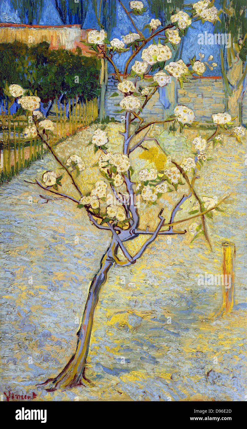 Painting of Small Pear Tree in Blossom, 1888. By Vincent van Gogh. Oil ...