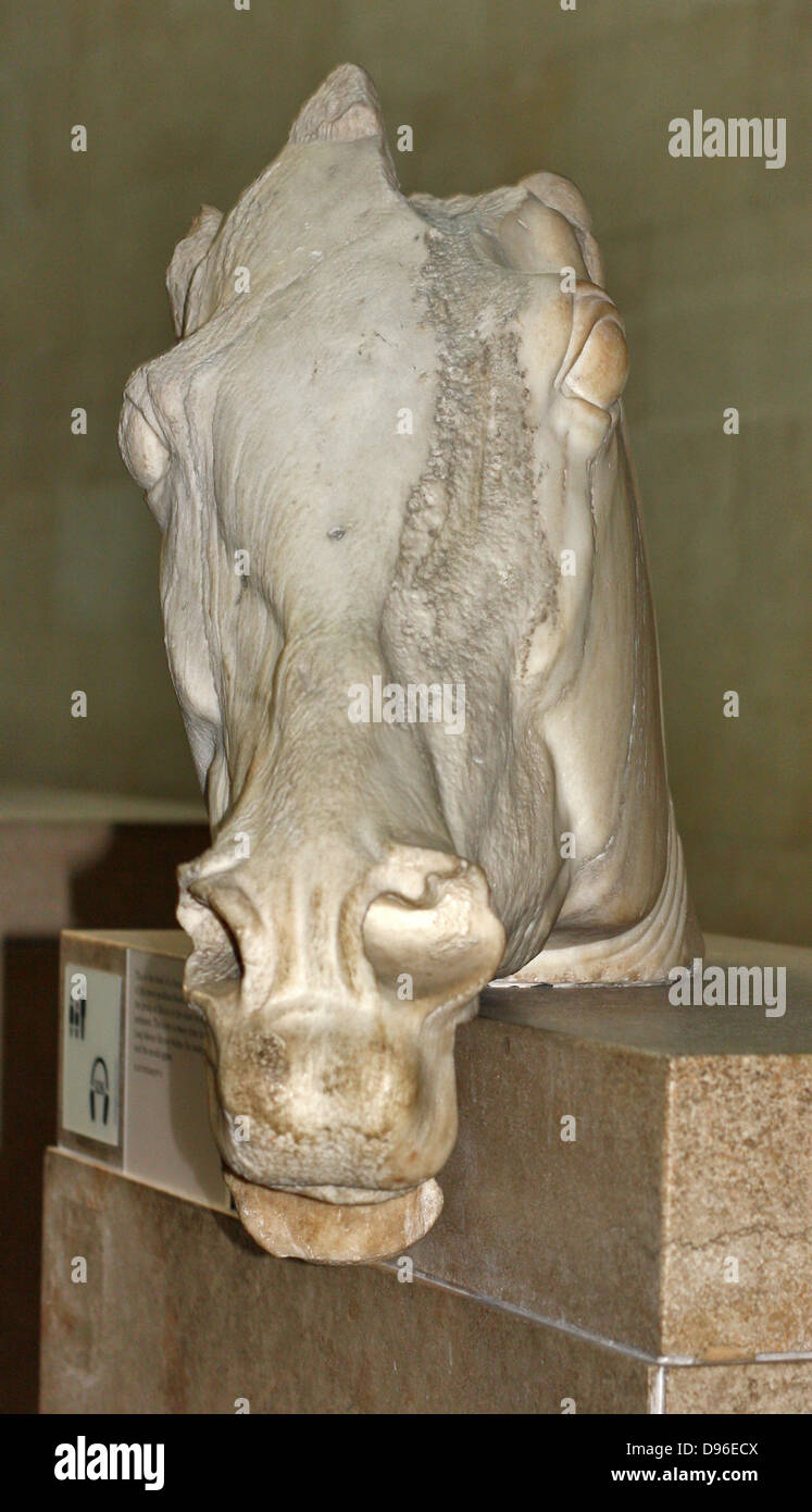 Statue of a horses head from the chariot of the moon-goddess Selene ...