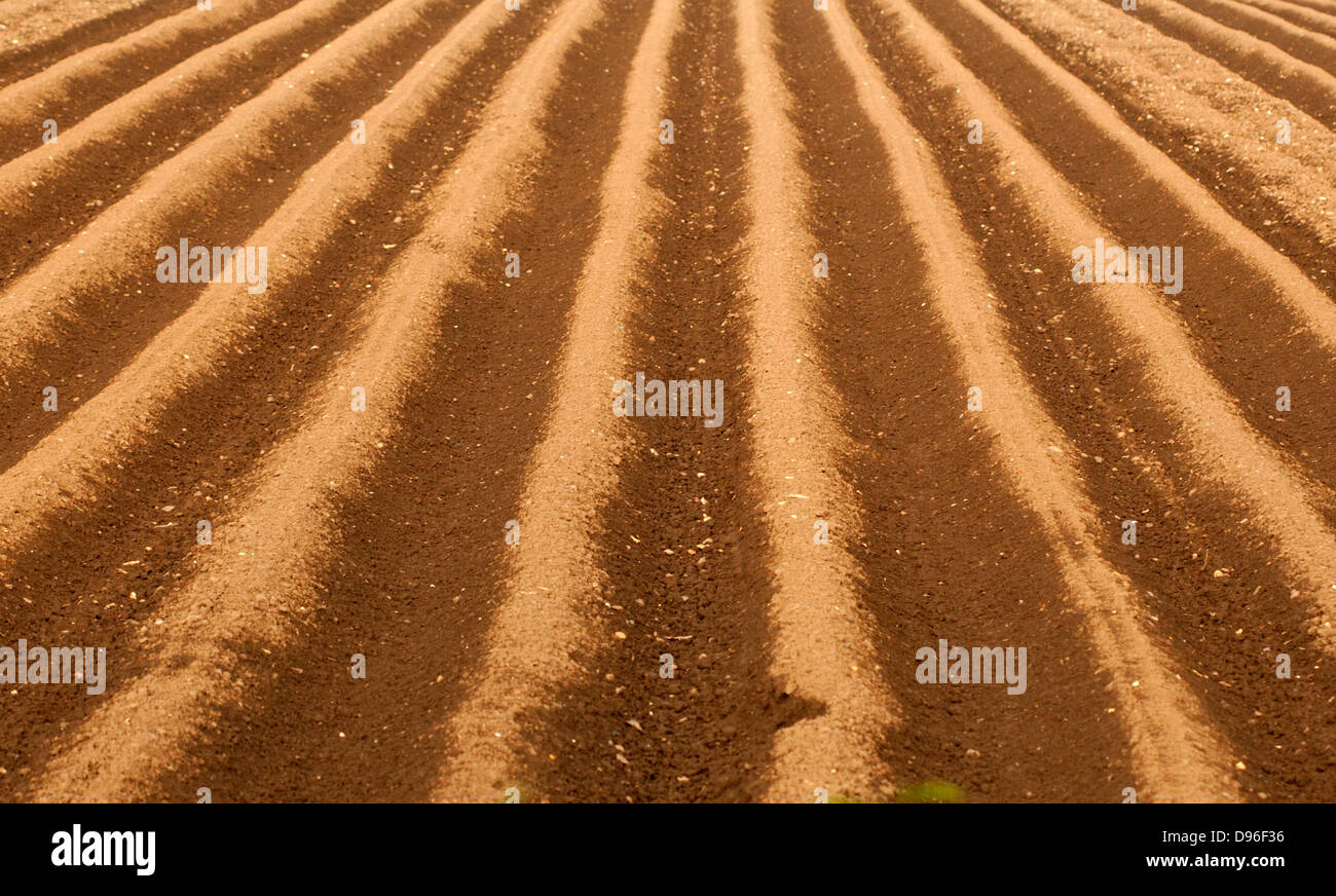 Ridge furrow ploughed field pattern hi-res stock photography and images ...