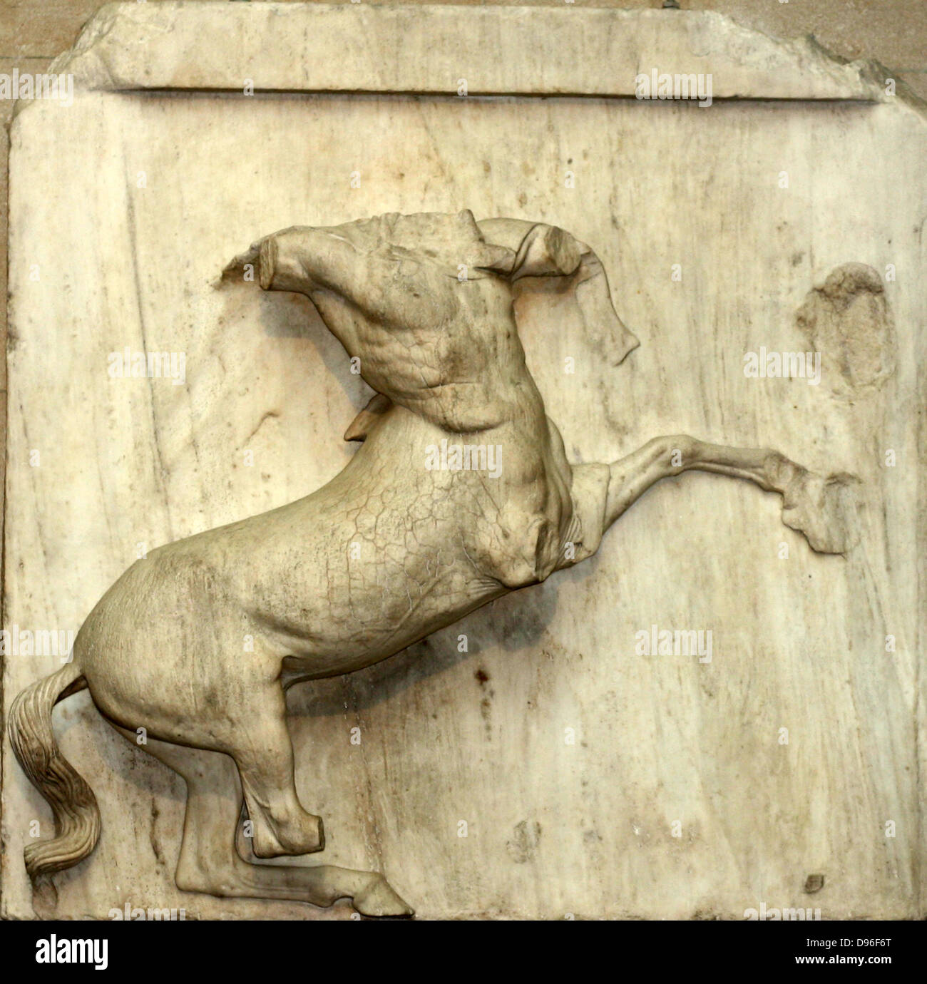 One of the Metopes (Tablet with relief sculpture) from the Parthenon ...