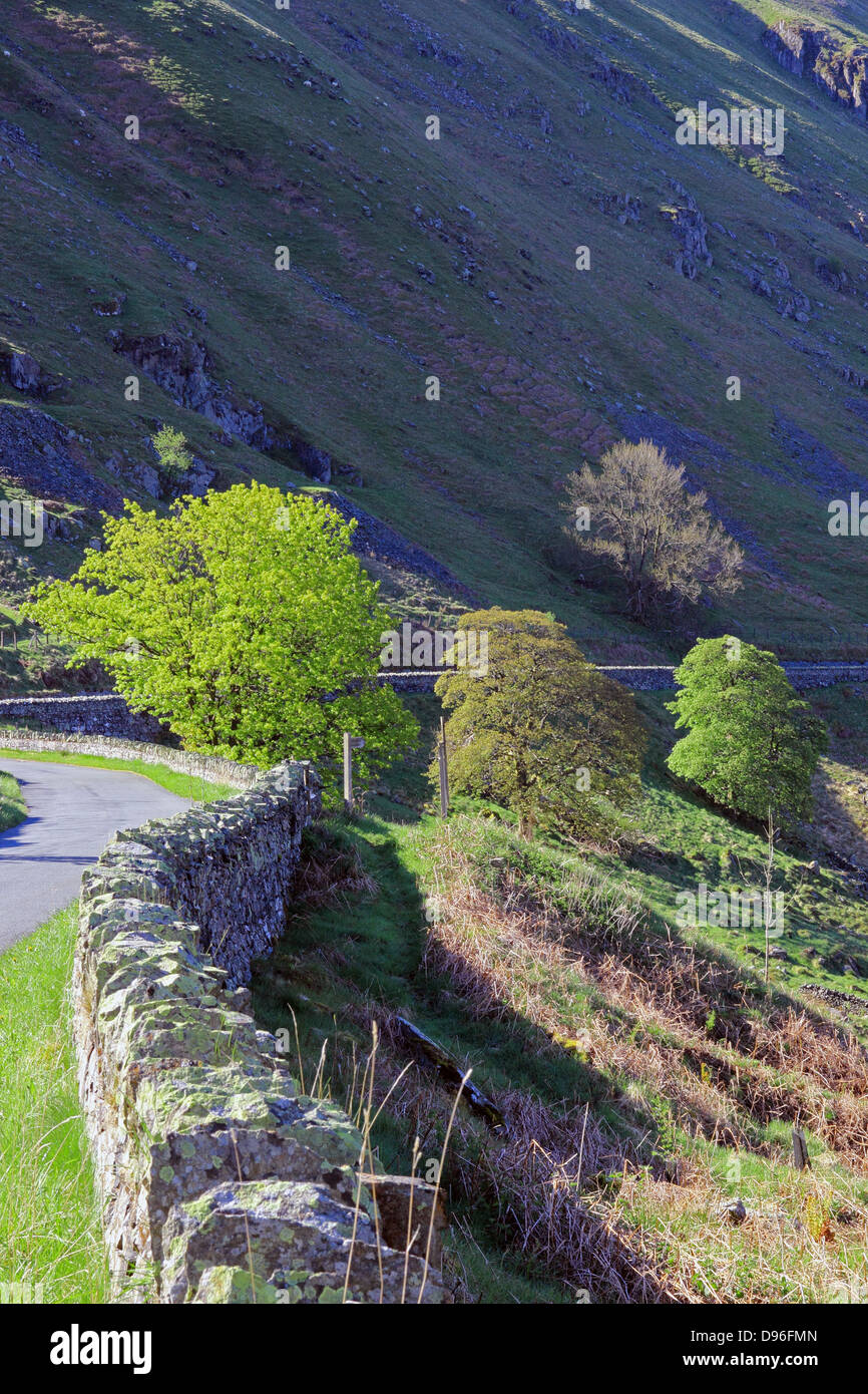 Haweswater hillside hi-res stock photography and images - Alamy