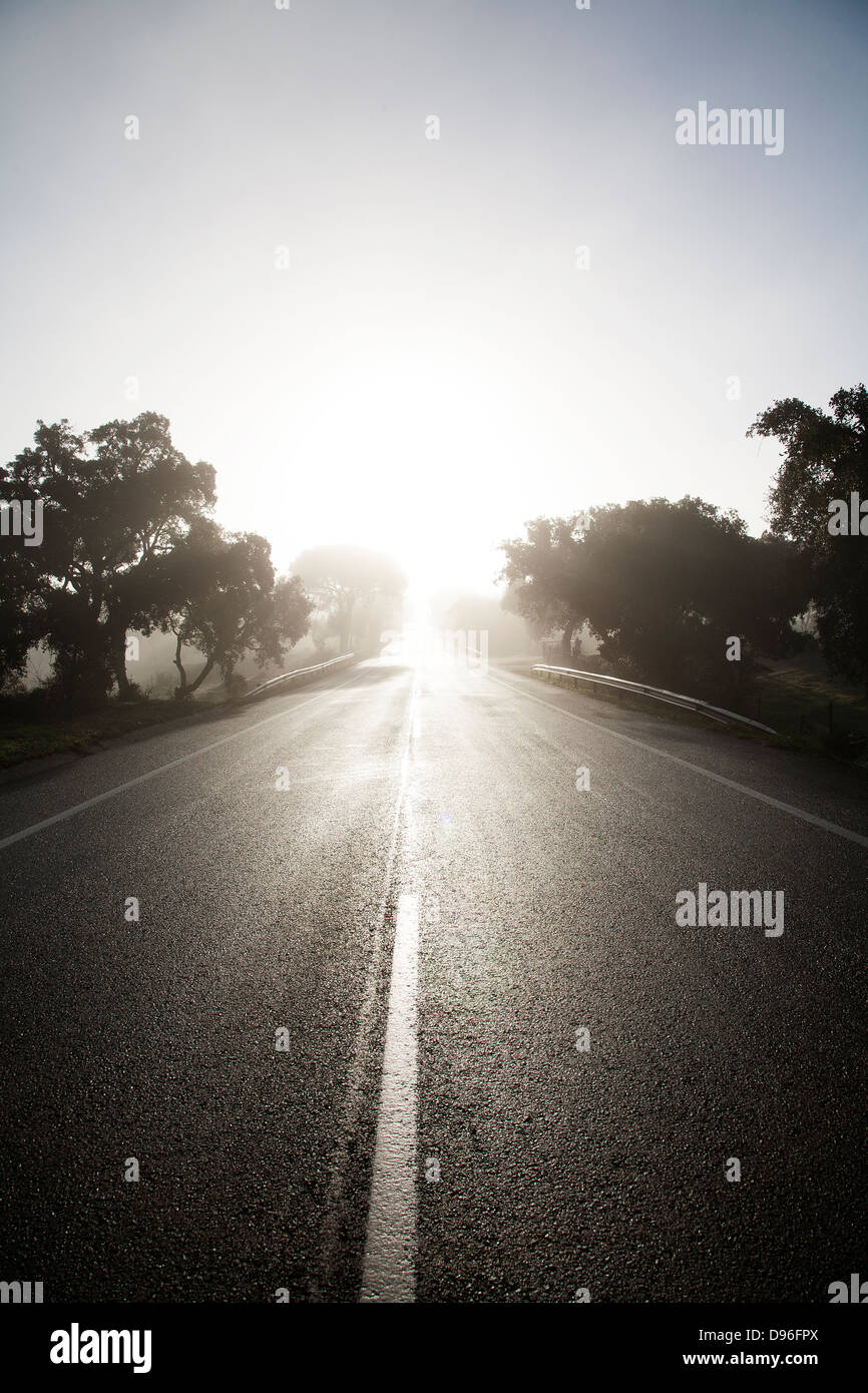 Road with sunrise ahead Stock Photo - Alamy