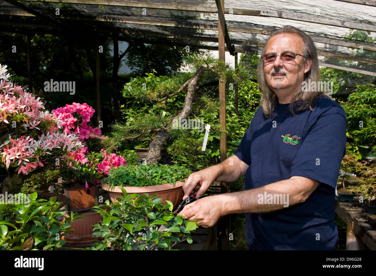 Alberto bergamini hi-res stock photography and images - Alamy