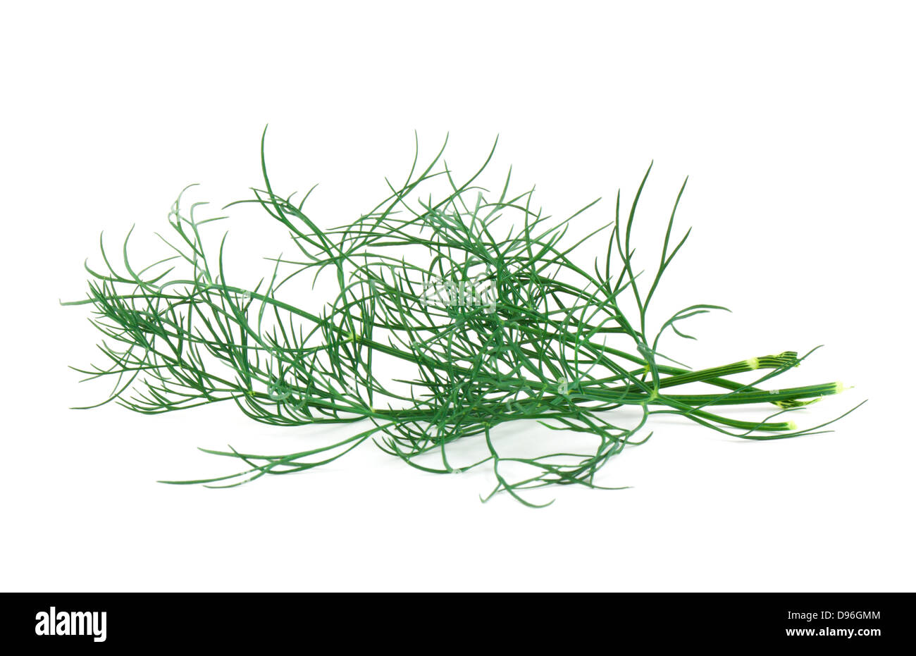 Isolated dill hi-res stock photography and images - Alamy