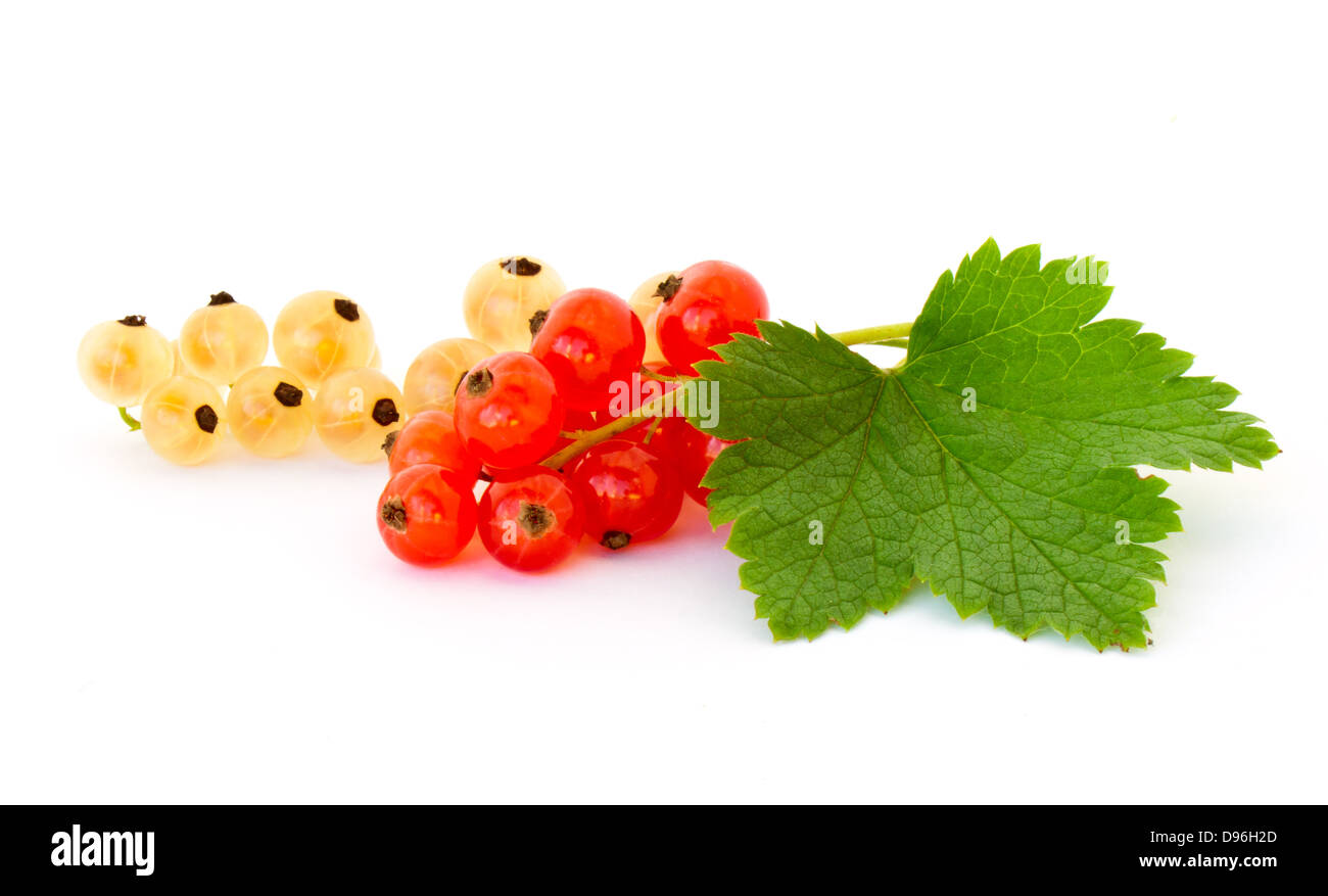 Yellow and red currant isolated on white background Stock Photo - Alamy