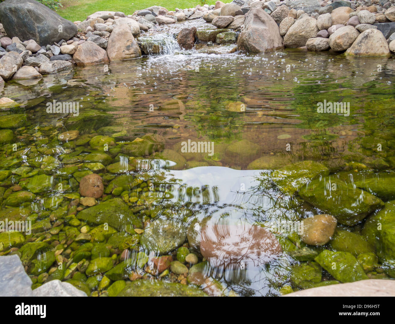 Stream algae hi-res stock photography and images - Alamy