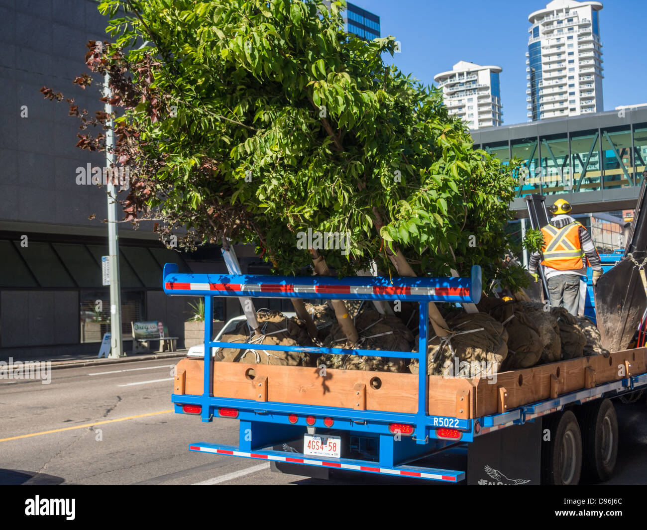 truck carrying worker and trees Stock Photo - Alamy