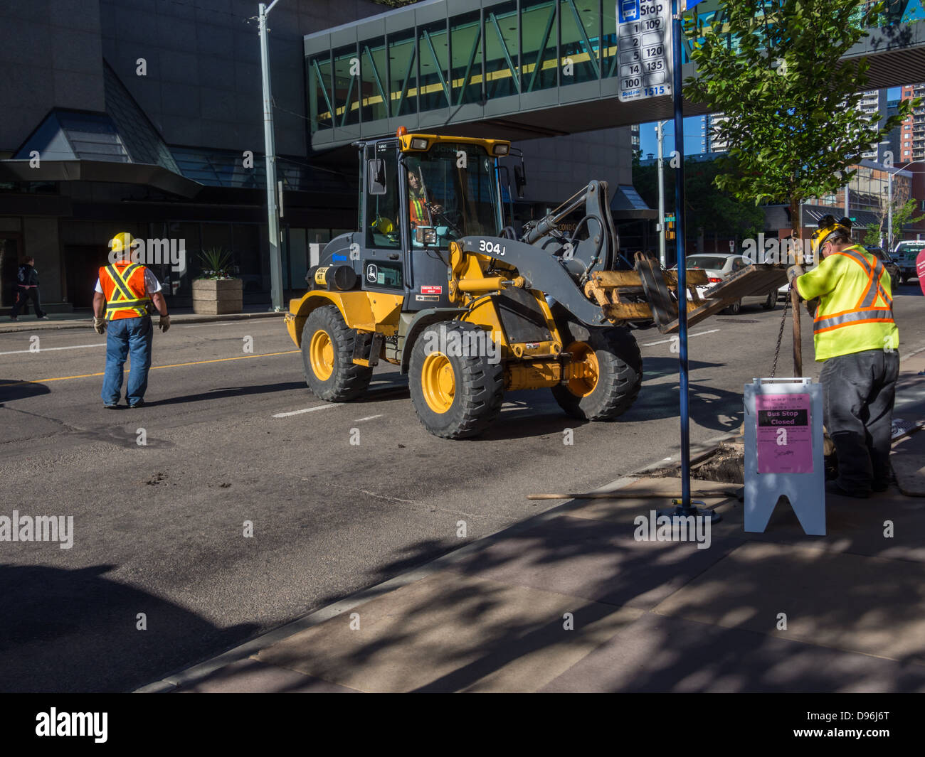 workers planting tree into sidewalk with heavy machinary Stock Photo ...