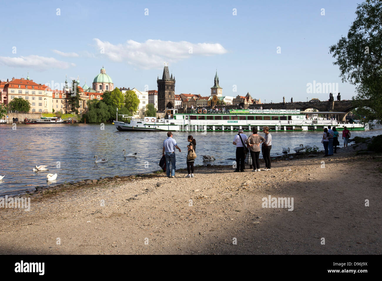 A group of swans on the river Vltava, the Charles Bridge is in the ...