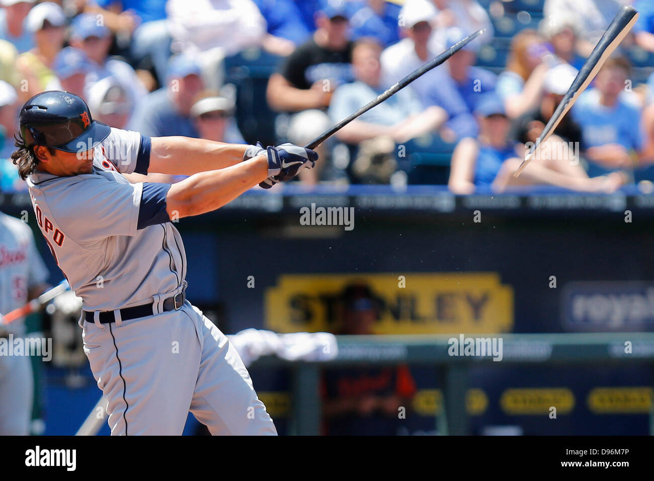 Matt The Bat High Resolution Stock Photography and Images - Alamy