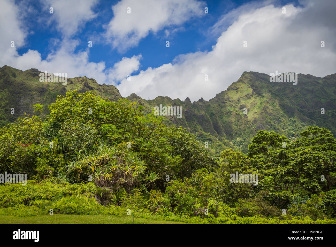 Ko'olau Mountains, Kaneohe, Oahu Hawaii Stock Photo - Alamy