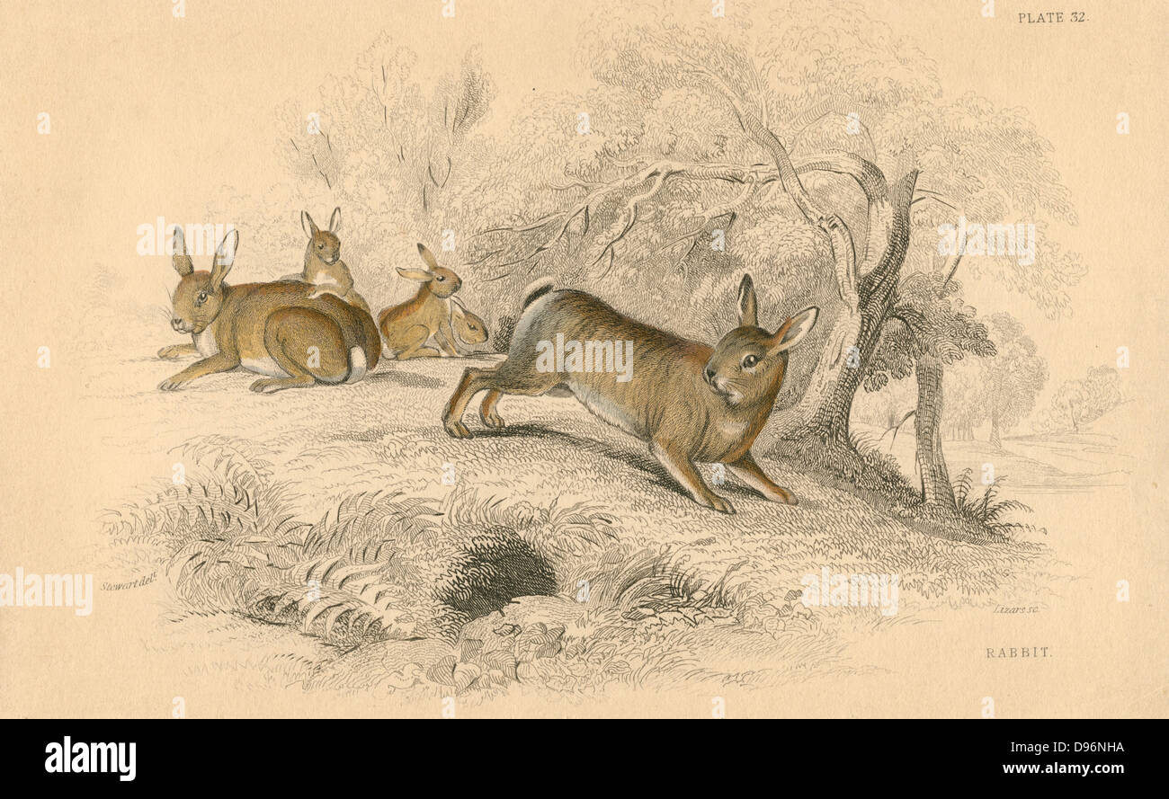 Old W High Resolution Stock Photography and Images - Alamy